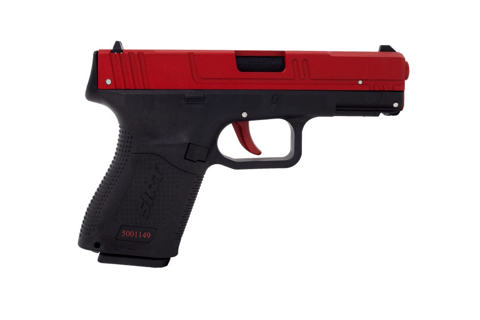 SIRT 110 - Next Level Training